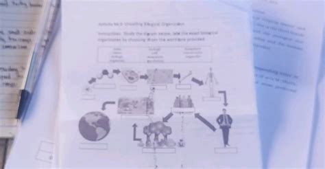 Activity 1 Unveiling Biological StudyX