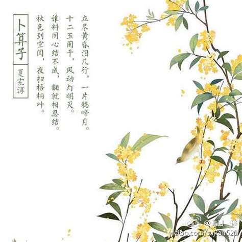 寂寞沙洲冷苏轼 寂寞沙洲冷简谱歌谱 随意优惠券