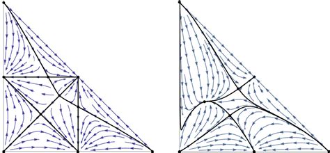 projected ricci flow of type ii left and type i right download
