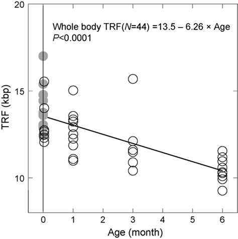 Regression Analysis Of The Terminal Restriction Fragment Length During Download Scientific