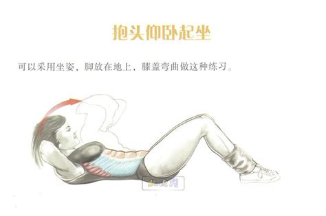 腹肌训练动作图解健身房练腹肌动作图解 肌肉网