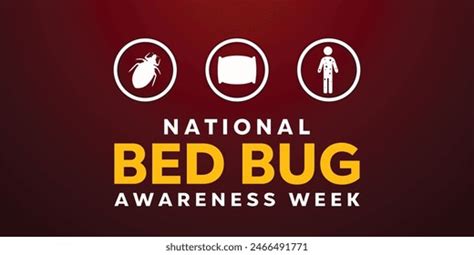 National Bed Bug Prevention Day June Stock Vector Royalty Free