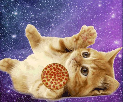 Cats Eating Pizza 