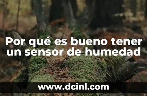 Que Es Un Sensor Infrarrojo Y Como Funciona 5 Ejemplos