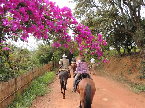 Minas Gerais Cavalgada No Berço Do Mangalarga Marchador Cavalgadas
