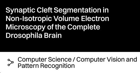 Synaptic Cleft Segmentation In Non Isotropic Volume Electron Microscopy Of The Complete