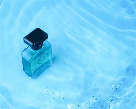 Best Aquatic And Citrus Fragrances For Unisex Perfumers Club