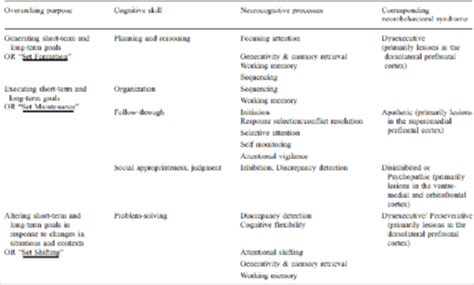 Week 8 Executive Functioning Flashcards Quizlet