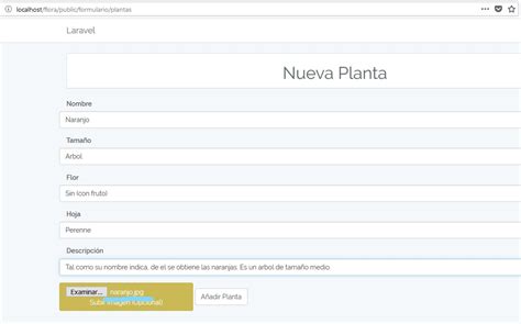 Laravel 5 Almacenar El Nombre Original De Una Imagen Que Fue Enviada