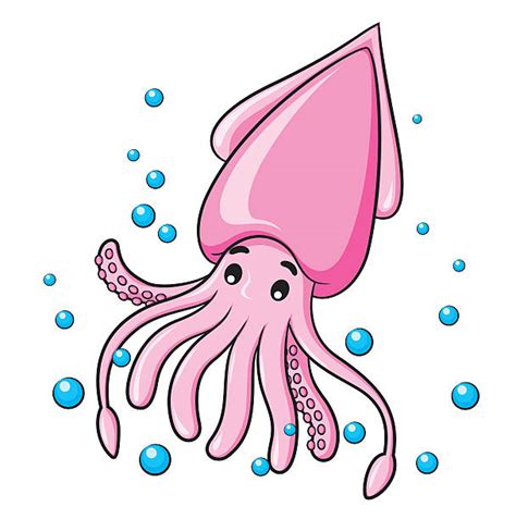 Royalty Free Squid Clip Art Vector Images And Illustrations Istock
