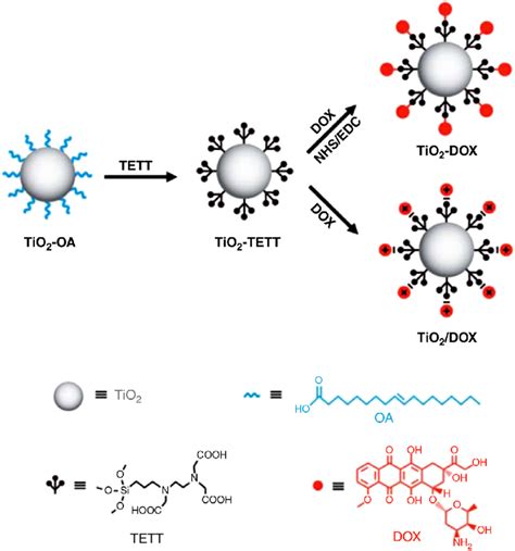 11 Scheme Of The Synthesis Of Highly Water Dispersible Tio 2 Download Scientific Diagram