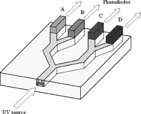 Sketch Of The Sensor Array Download Scientific Diagram