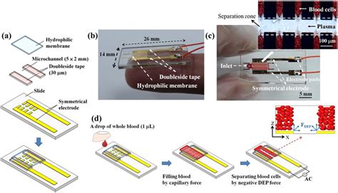Experimental Set Up Of A Capillary Dep Device Separating Cells From The Download Scientific