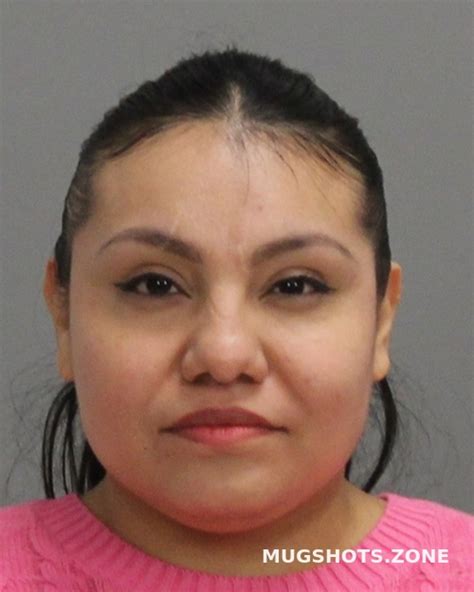 Bravo Bianca 02 15 2025 Brazos County Mugshots Zone