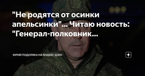 Не родятся от осинки апельсинки Читаю новость Генерал полковник… Юрий Подоляка на
