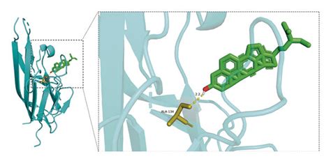 Molecular Docking Mode A Tanshinone Iia Tnf B Download