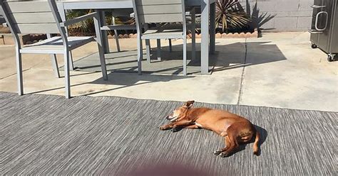 Experiment Album On Imgur