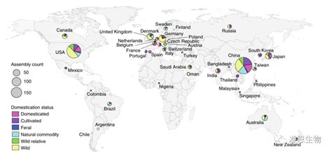 Nature Plants 植物基因组测序20年回顾与展望：三代hifi基因组时代 知乎