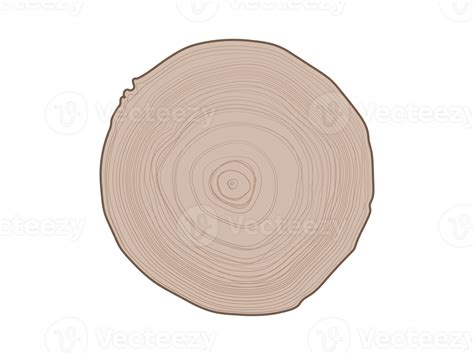 Isolated Tree With Woodgrain Ring Natural Texture From Top View On Transparent Background