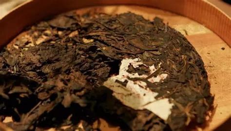存茶技巧在家裏如何貯藏普洱茶 每日頭條