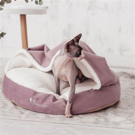 Pink Dog Bed Etsy