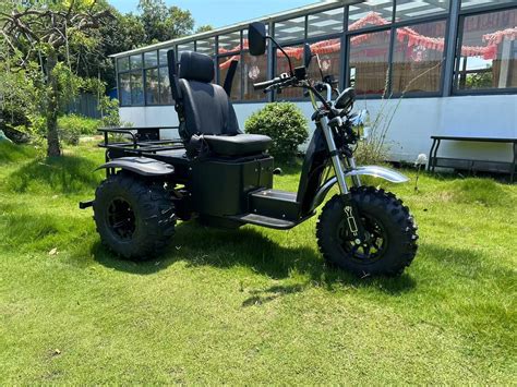 Off Road 3 Wheel Electric Mobility Scooter