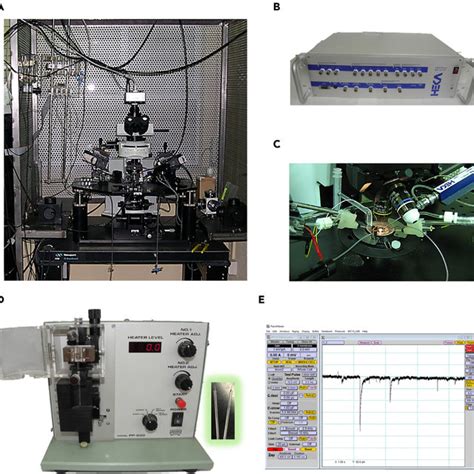 Layout Of The Single Cell Tracking Software A C The Images Show An Download Scientific