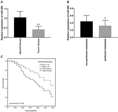 Mir 466 Expression Status Was Detected In Gastric Cancer Tissues And