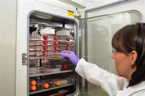 Biologists Create The Most Lifelike Artificial Cells Yet Realclearscience