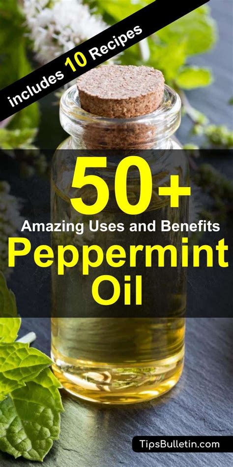 50 Amazing Uses And Benefits Of Peppermint Oil