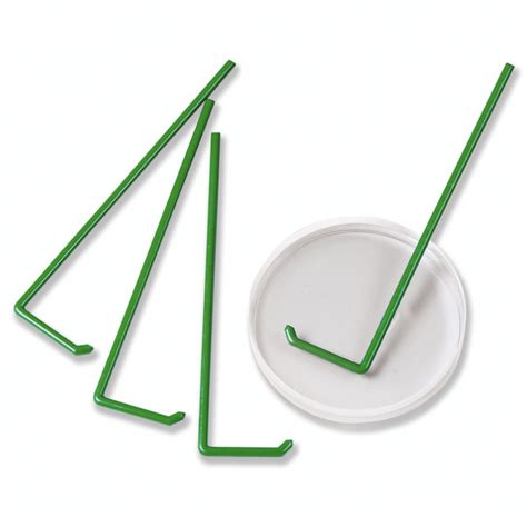 Bacterial Cell Spreaders L Shaped Individually Bacterial Cell