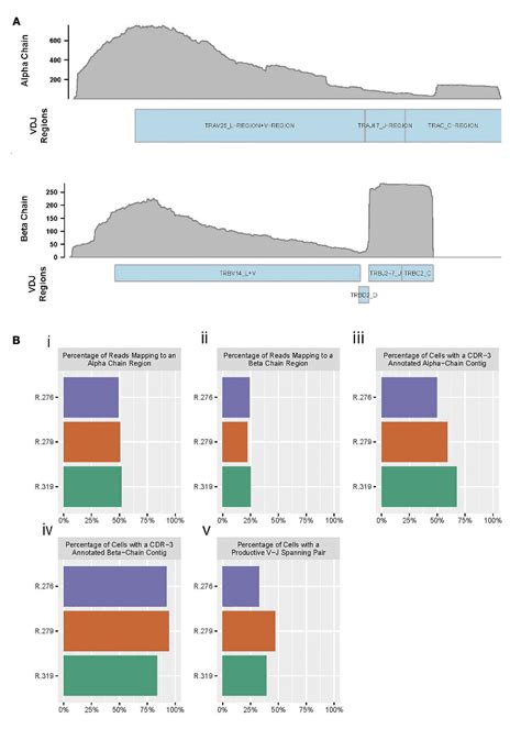 Identification And Tracking Of Alloreactive T Cell Clones In Rhesus