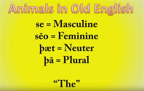 Function Words Mrs Steven S Classroom Blog