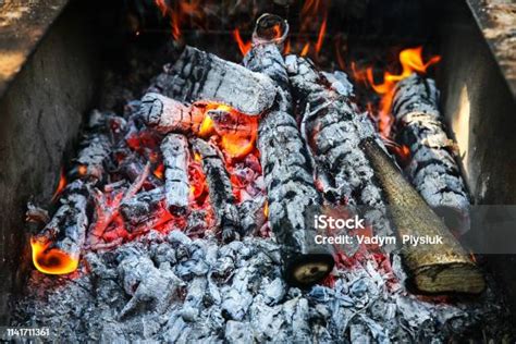 나무에서 화재 굽기 진짜 불꽃 바베 큐 장소 생태 자연 연료 블랙 챠콜 꺼져 가는 불에 대한 스톡 사진 및 기타 이미지 꺼져 가는 불 나무 노랑 Istock