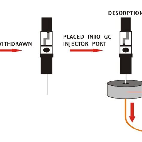 Diagram Of Analysis With Solid Phase Microextraction Gas Download Scientific Diagram