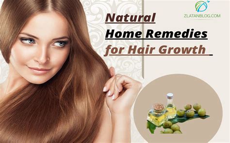 Natural Home Remedies For Hair Growth Zlatan Blog
