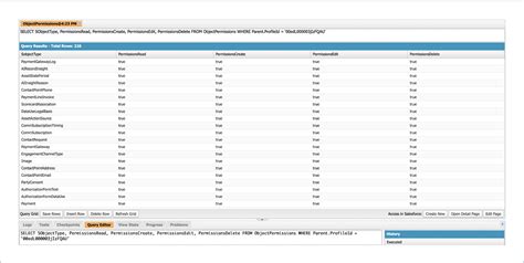 Troubleshoot User Access With Soql Inno Valley Works