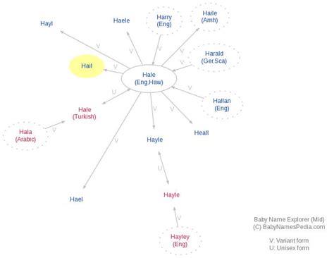Hail Meaning Of Hail What Does Hail Mean