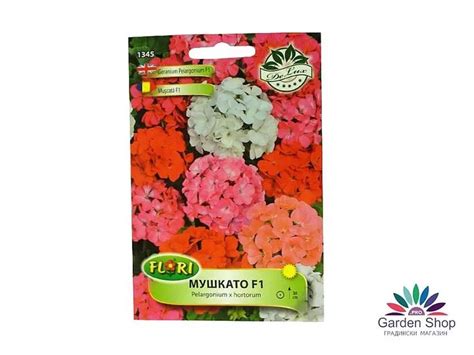 Луксозни семена на Мушкато F1 Pelargonium X Hortorum Pelargonium