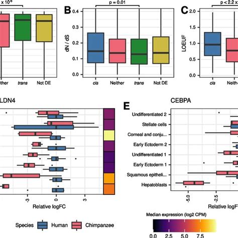 Genes With High Cis Proportion Show Evidence Of Relaxation Of