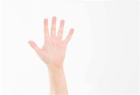 손으로 흰색에 고립 투표 손 모의 공간을 복사합니다 템플릿 빈 5에 대한 스톡 사진 및 기타 이미지 5 개념 공란