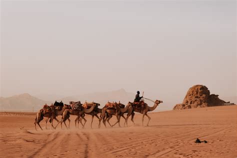 Jordan Weather In June A Quick Guide