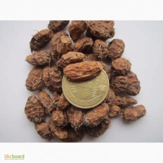 Продам/купити чуфа - Земляной миндаль - Тигровый орех — Ukrboard