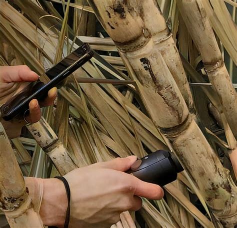 Food Safety The Future With Nir Technology Nirlab