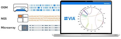 Revolutionize Your Genomic Analysis Workflow With Via™ Software Bionanogenomics