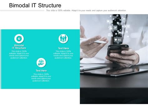 Bimodal It Structure Ppt Powerpoint Presentation Infographic Template