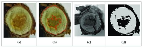 The Use Of The Contour Analysis Algorithm For An Image That Is Slightly