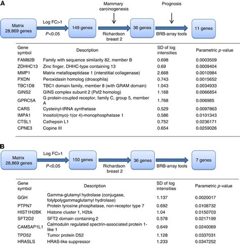 In Silico Analysis Protocol A In Silico Analysis Comparing V165 With