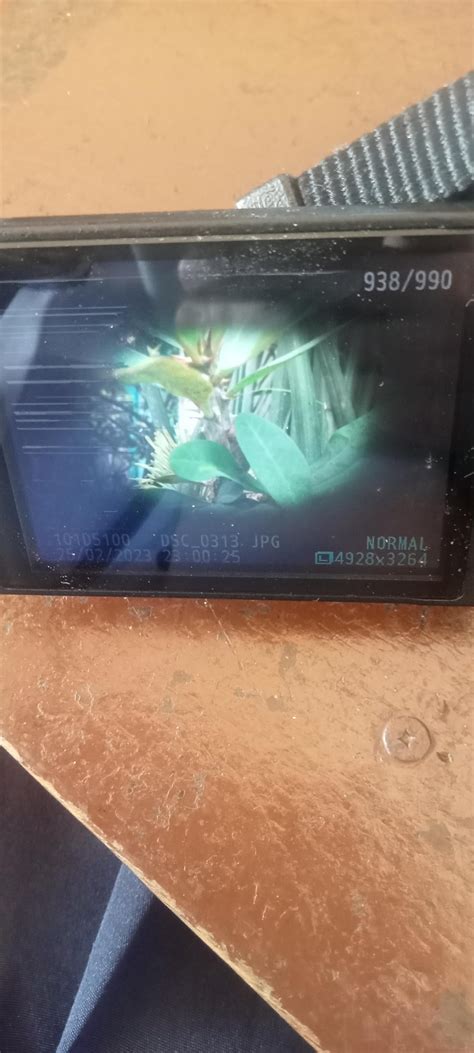 Theres A Dark Fade In My Camera Is There A Way To Fix This Rcameras