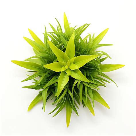 Premium Ai Image Water Star Grass Heteranthera Dubia Light Green